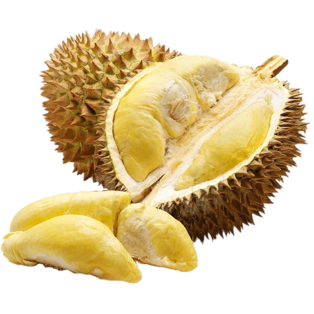 DURIAN MONTHONG – Vasifood